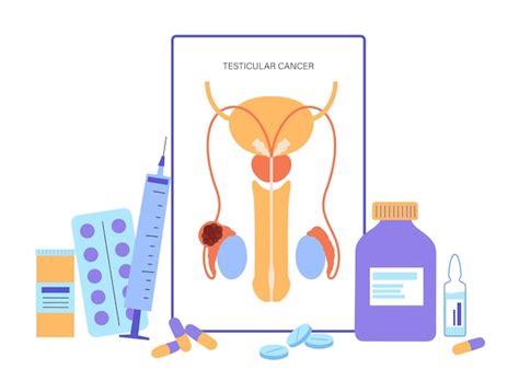 Premium Vector Man Reproducive System Problems