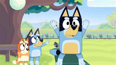 Bluey Episode Deleted Due To Controversy