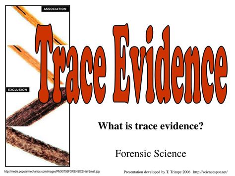 Ppt What Is Trace Evidence Forensic Science Powerpoint Presentation Id
