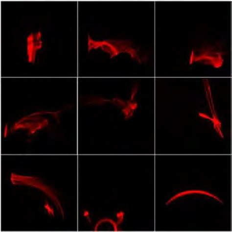 The Laser Interference Illustration By Laser Kinetic Download Scientific Diagram