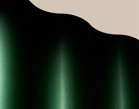 DISEX Illustration Behance