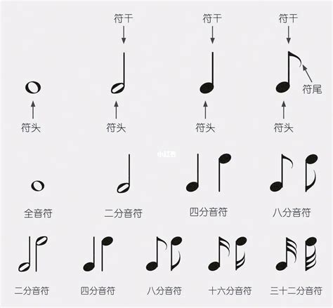 音符的种类音符符号大山谷图库