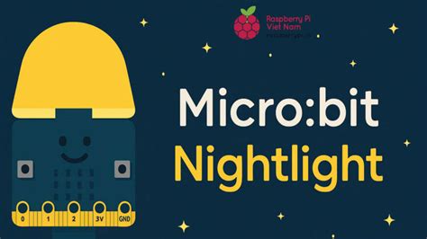 Lập Trình Micro Bit Raspberry Pi Việt Nam