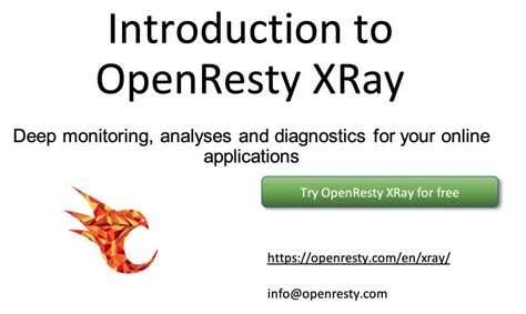 Openresty Inc On Linkedin Openresty Xray Introductionpdf