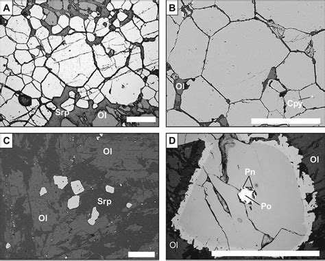Photomicrographs Of Chromian Spinel Textures From Chromitite And Dunite Download Scientific