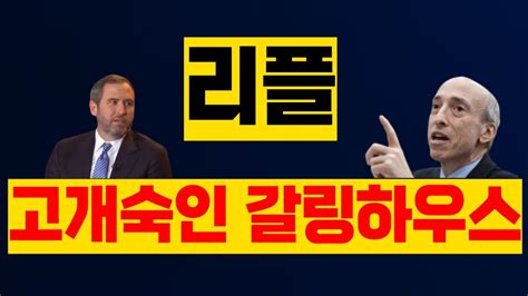 충격속보 리플 이거 상황이 너무 안좋은데요 Youtube