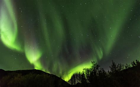 Aurora Borealis Northern Lights In Denali National Park Photograph By