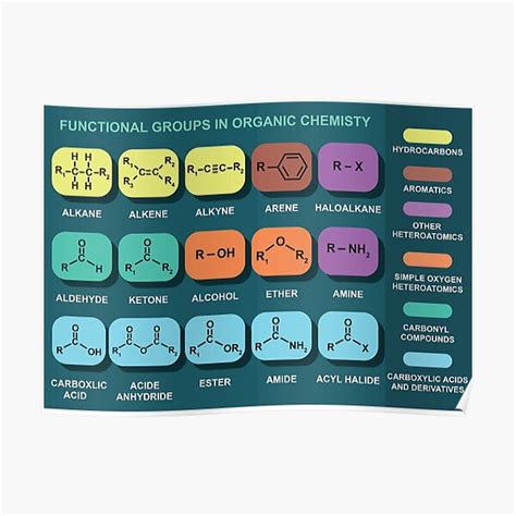 Functional Groups In Organic Chemistry Poster For Sale By