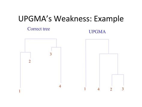 Phylogenetic Analysis Ppt Download