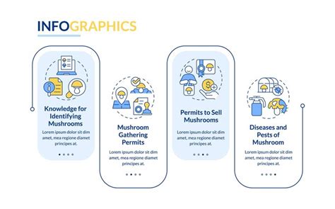 Premium Vector Mushroom Management And Regulation Blue Rectangle Infographic Template