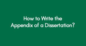 How To Write The Appendix Of A Dissertation A Guide