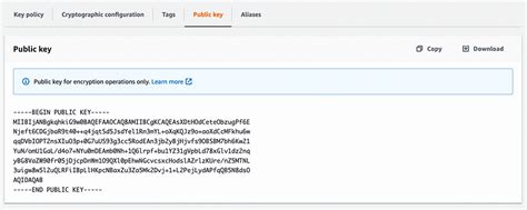 Public Key Encryption In The Cloud