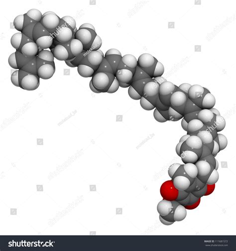 Coenzyme Q10 Ubiquinone Molecule Chemical Structure 스톡 일러스트 111681572