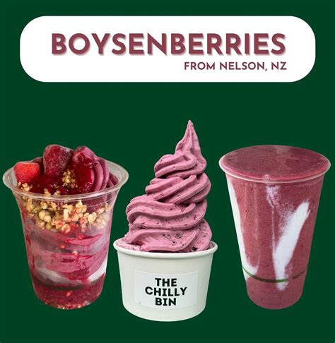 The Chilly Bin Chillybin Icecream • Instagram Photos And Videos