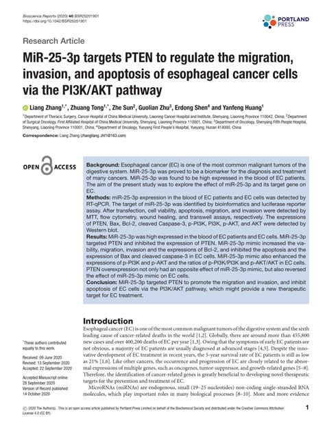 Pdf Mir 25 3p Targets Pten To Regulate The Migration Invasion And Apoptosis Of Esophageal