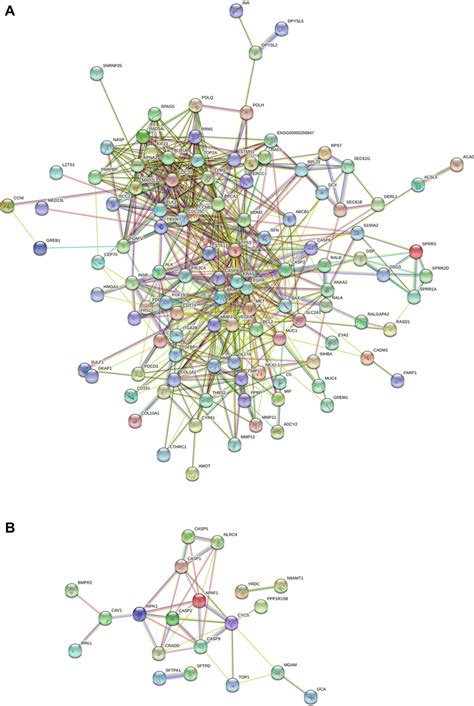 Network Stats By Version 105 Of String Database A Upregulated Genes Download Scientific