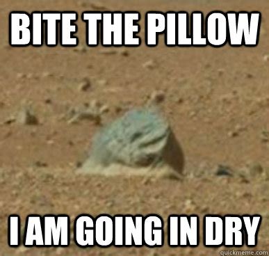 Bite The Pillow I Am Going In Dry Misc Quickmeme