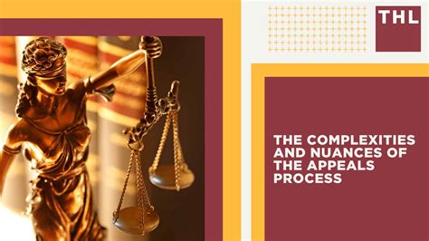 Appeals In Civil Cases Explained May 2026 Guide