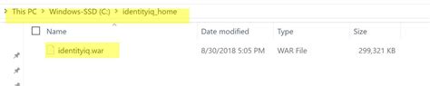 Cyber Security Idm Audit And Compliance Sailpoint Iiq 73 Basic