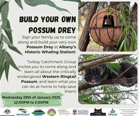 Build Your Own Possum Drey Torbay Catchment Group