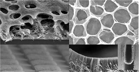 그래핀 탄소나노튜브 3차원 형태 조립