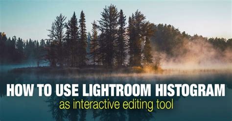 Histogram In Photography And How To Read A Histogram