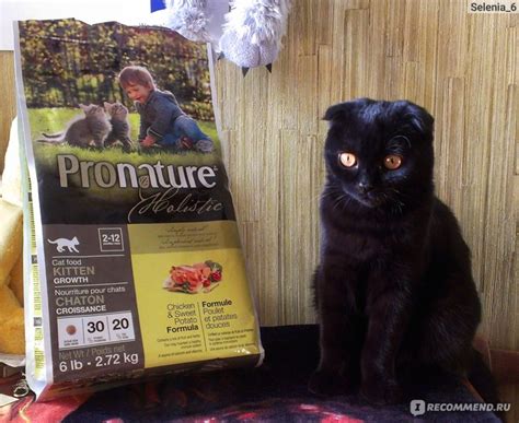 Pronature Holistic Курица и сладкий картофель (корм для котят ...