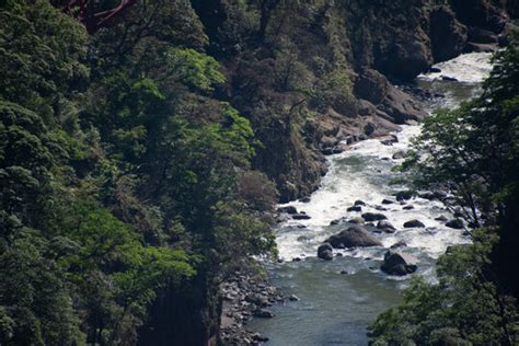 「杉皮」の写真素材 205496件の無料イラスト画像 Adobe Stock
