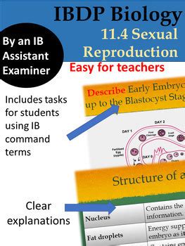 IB Biology AHL Topic Sexual Reproduction Slides IB Diploma Biology
