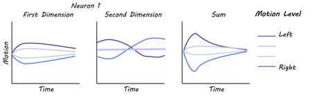 Multidimensional Encoding Of The Prefrontal Cortex During Decision Making — Brainpost Easy To
