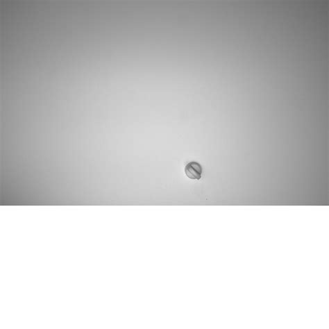 Euclid Object Detection Dataset And Pre Trained Model By Unipd