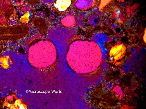 Microscope World Blog Polarizing Microscope Images