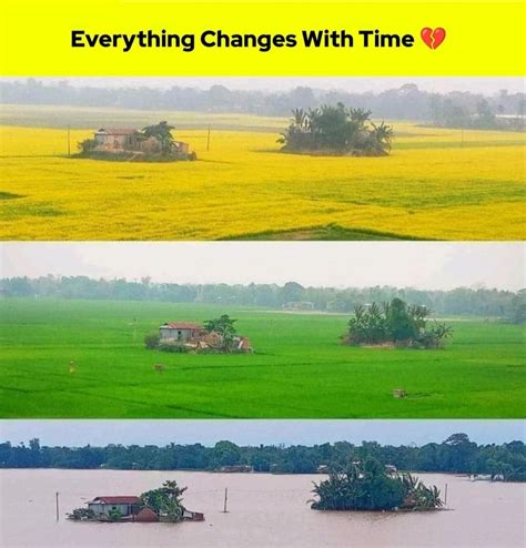 Goldi Kumari Posted On Linkedin