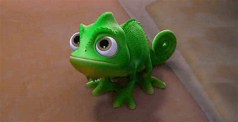 Tangled Pascal Gif