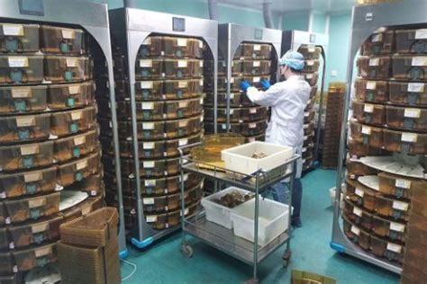 实验室工程案例 实验室建设案例 实验室装修设计效果图 华安实验室设计