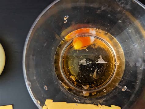 Candy Corn Experiment 2 Age Levels The Homeschool Scientist