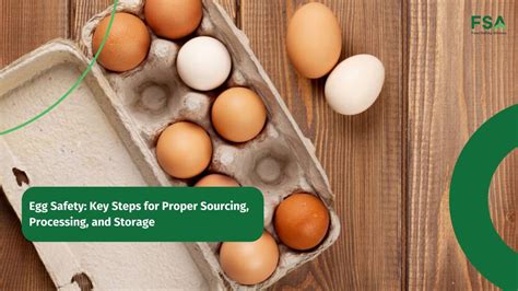 Egg Safety Key Steps For Proper Sourcing Processing And Storage