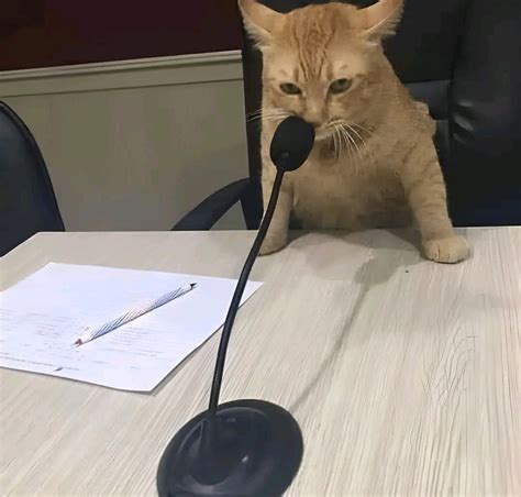 Iveth Martinez Carrasco