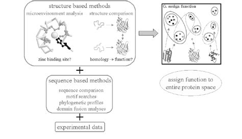 Computational Aspects Of Functional Genomics The Structure Based