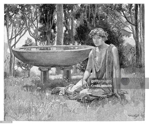 Nymph Sitting In The Garden High Res Vector Graphic Getty Images