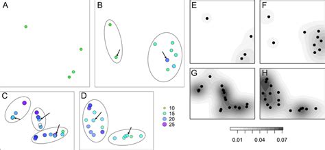 Examples Of The Spatial Distribution Of Male Gray Treefrog Callers On Download Scientific