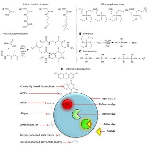 Monomers Iiv And Vviii Are Used To Synthesize Polyacrylamide And Download Scientific