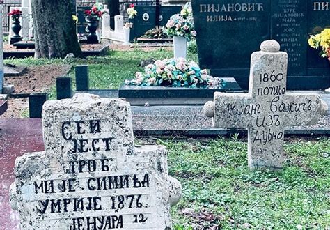 Стање Ствари On Linkedin Епископ далматински Никодим У Хрватској ништа ново сметају и ћирилички…