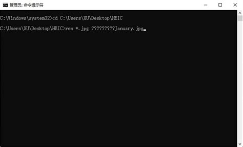简化重命名流程，windows 中批量重命名文件的五大技巧 哔哩哔哩