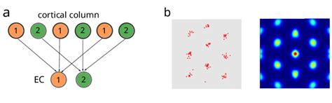 A A Simple Illustration Of The Modulo Operation Neurons In The Download Scientific Diagram