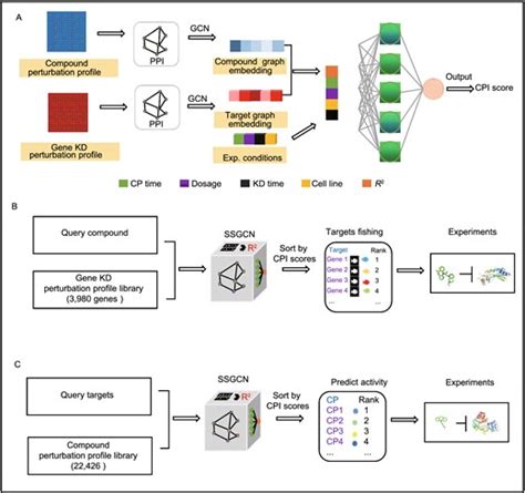 Drug Target Inference By Mining Transcriptional Data Using A Novel Graph Convolutional Network
