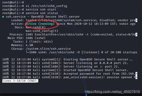 kail连接xshell以及windows与kali服务端文件互传 kali与windows互传文件 csdn博客