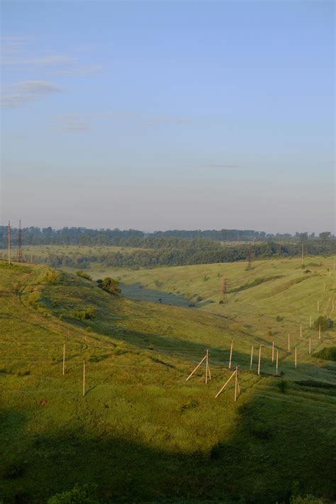 푸른 잔디 필드 · 무료 스톡 사진