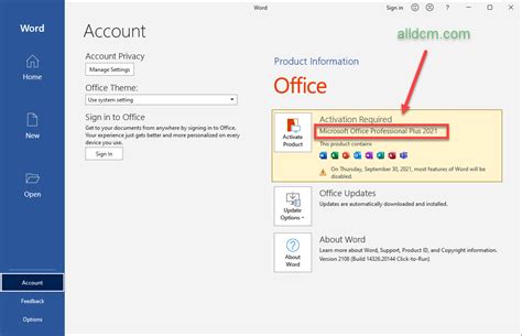 Microsoft Office Professional Plus 2021 Retail | Alldcm.com