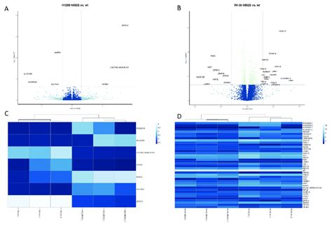 Comprehensive Transcriptome Analysis Of The H1299 And Wi 38 Cell Lines